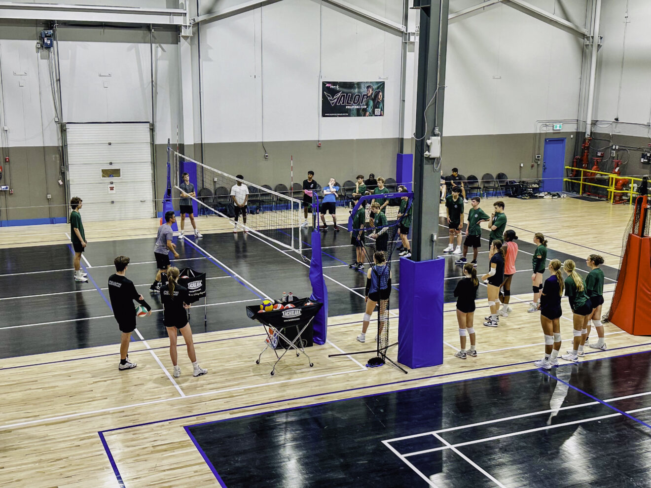 Programs – Valor Volleyball Club